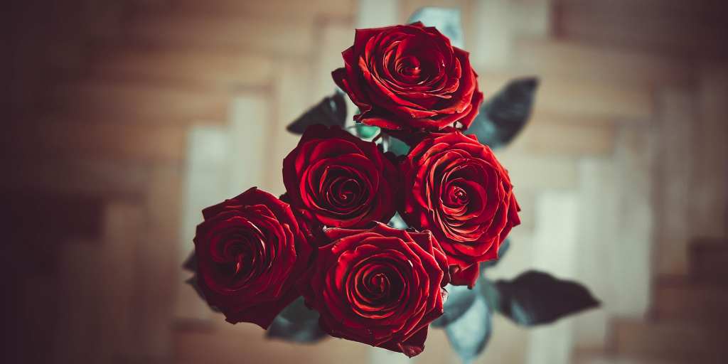 Top 5 Say Romance Movienight Kevin Reviews - Say Goodnight Kevin